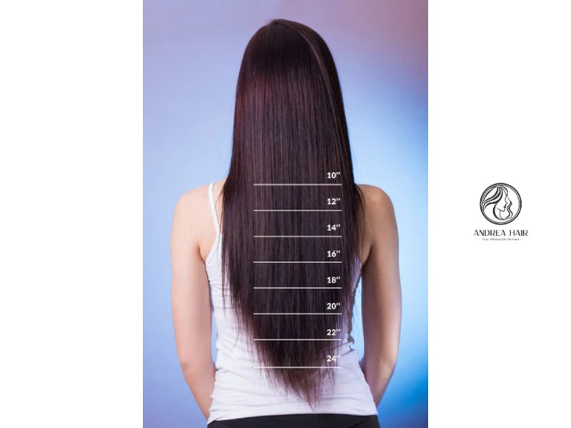 Hair Length Chart: Every Length from 8