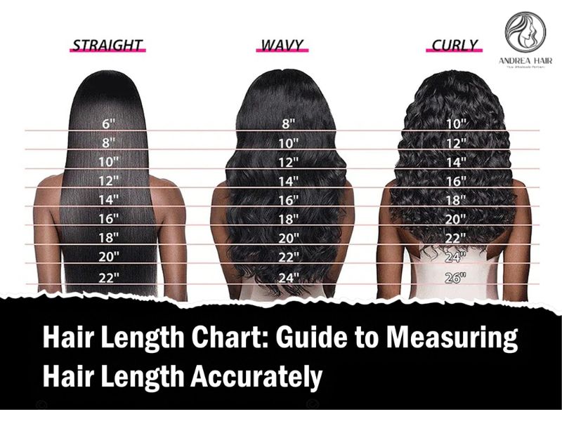 Hair Length Chart: Every Length from 8
