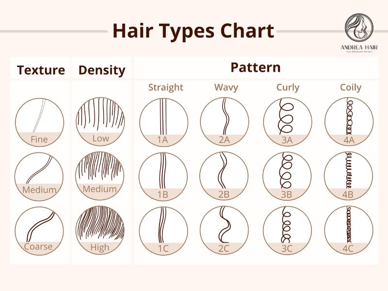 Hair Texture Chart: How to Identify and Work with Your Hair Type